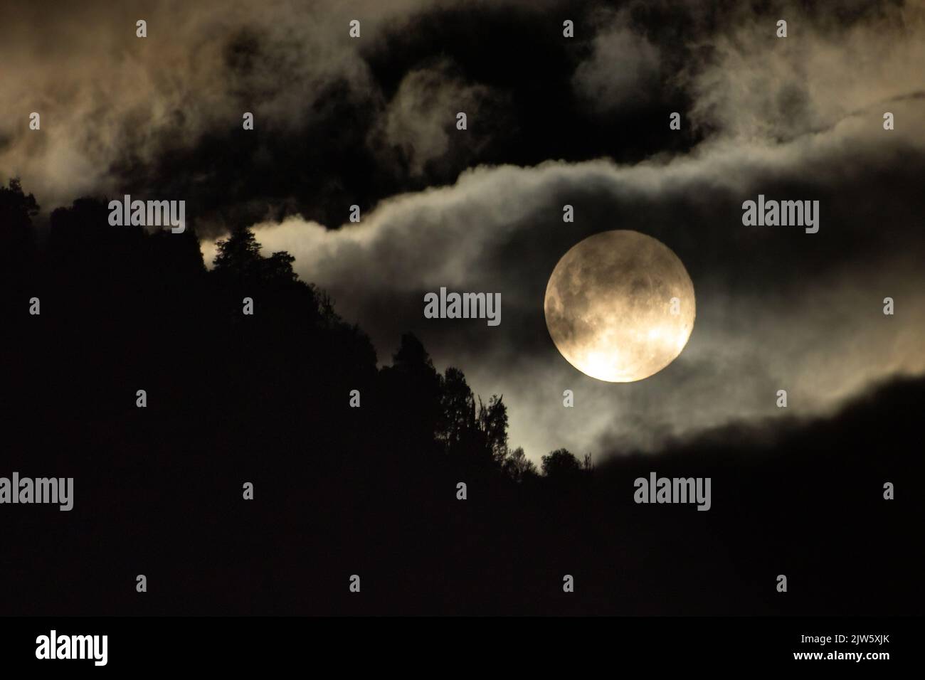 A beautiful full moon on a misty night Stock Photo - Alamy