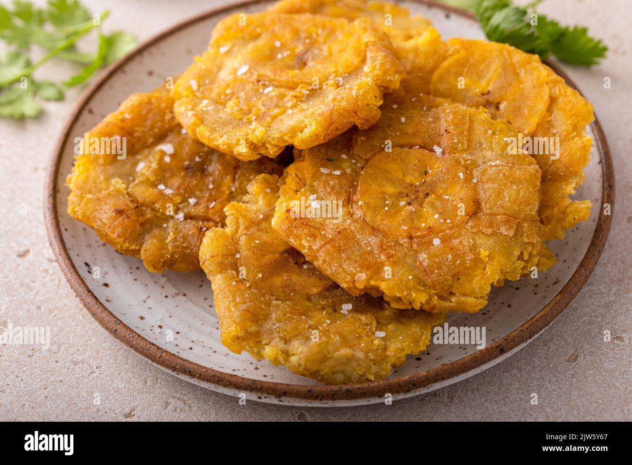 Tostones, traditional Carribean dish, twice fried plantains Stock Photo ...
