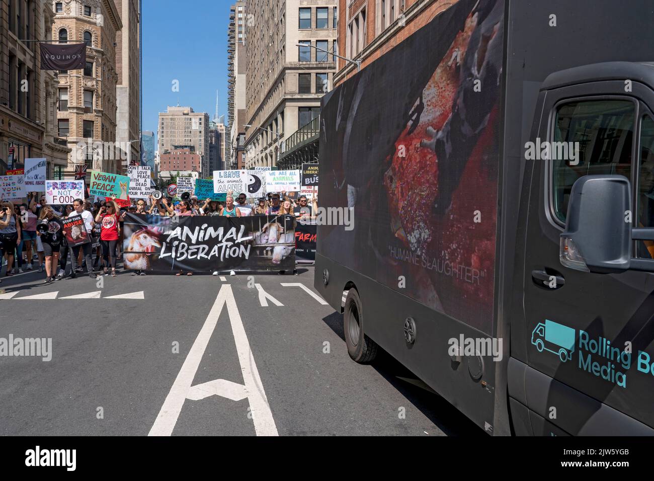 NEW YORK, NY - AUGUST 27, 2022: Hundreds of animal rights activists ...