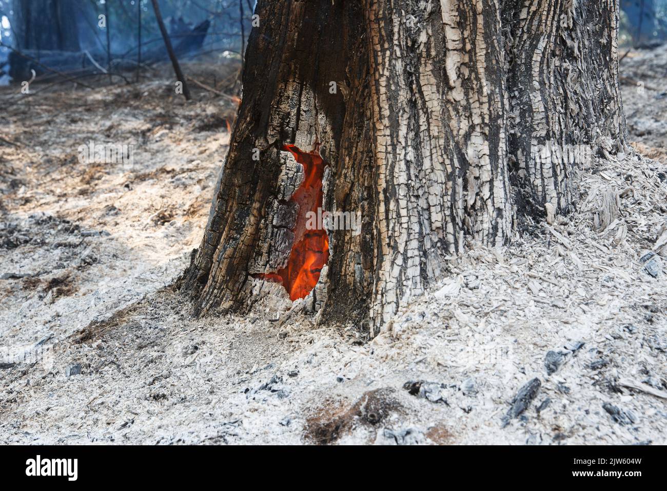 Burns basin hi-res stock photography and images - Alamy