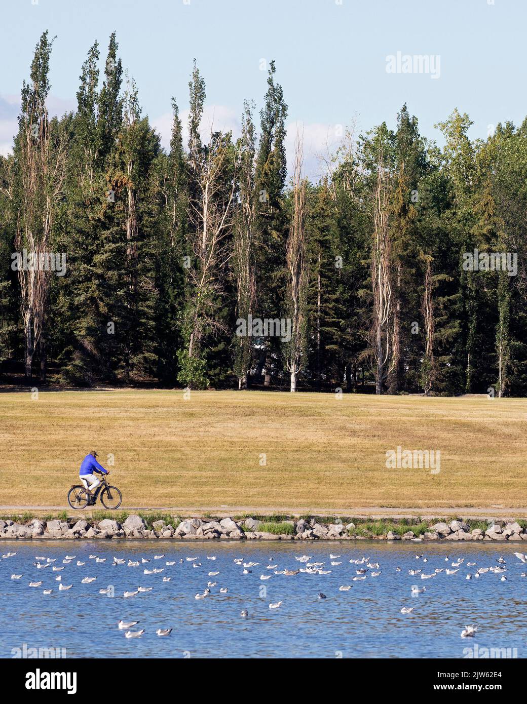 Man cycling through Elliston Park, an urban park in the city of Calgary ...