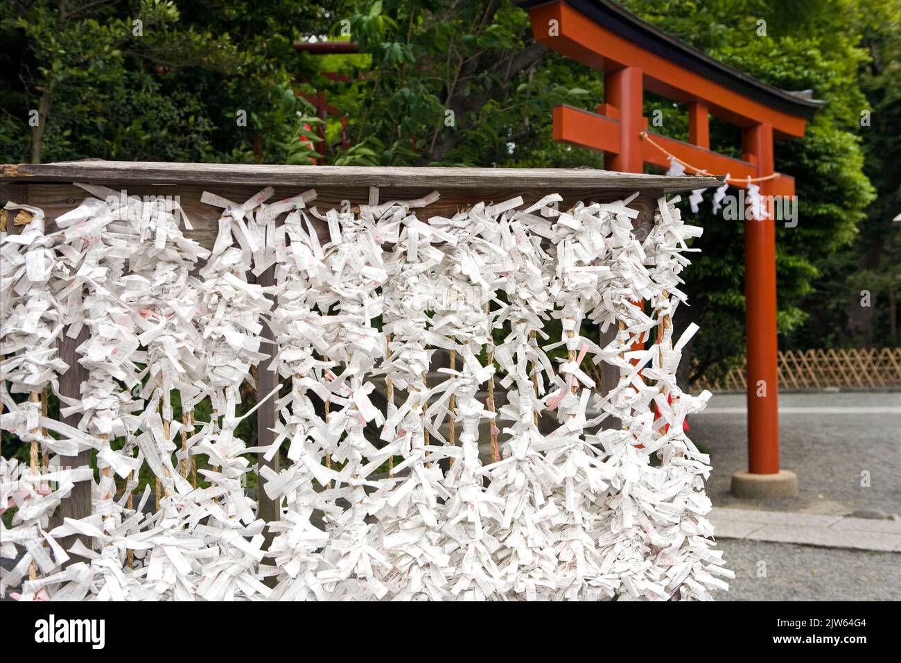 Paper fortunes tied Shinto shrine Kamakura Japan 2 Stock Photo - Alamy