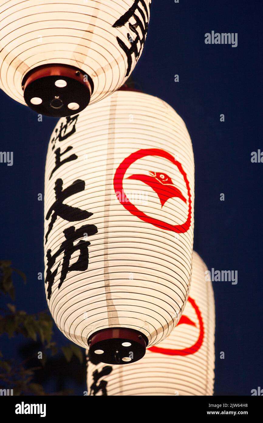 Row of paper lanterns at Oeshiki Festival Daibo HongyojiTemple in ...