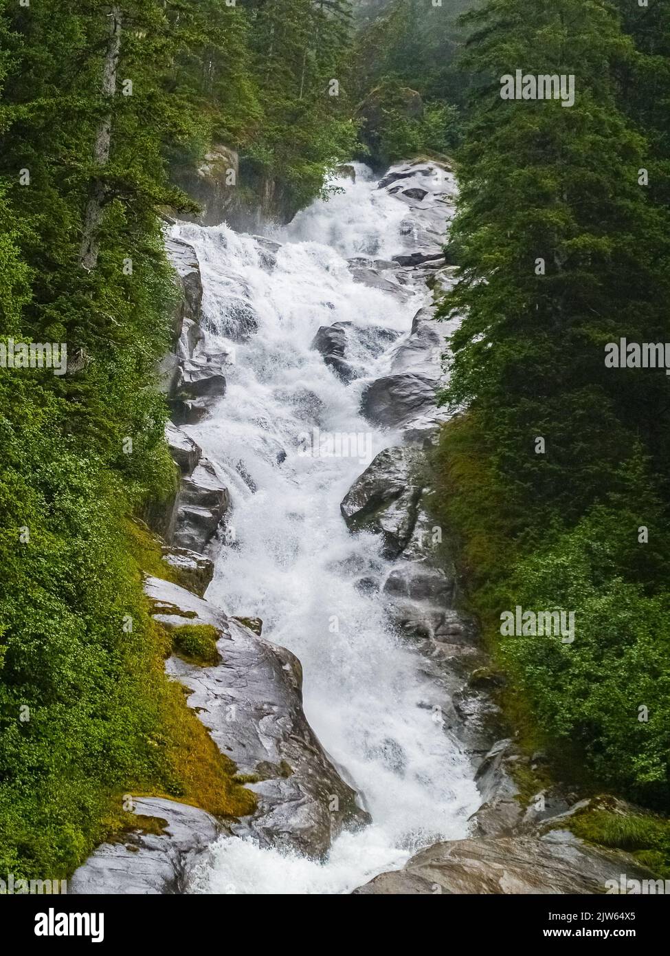 Tumbling cascading white water of waterfall between deep green of ...