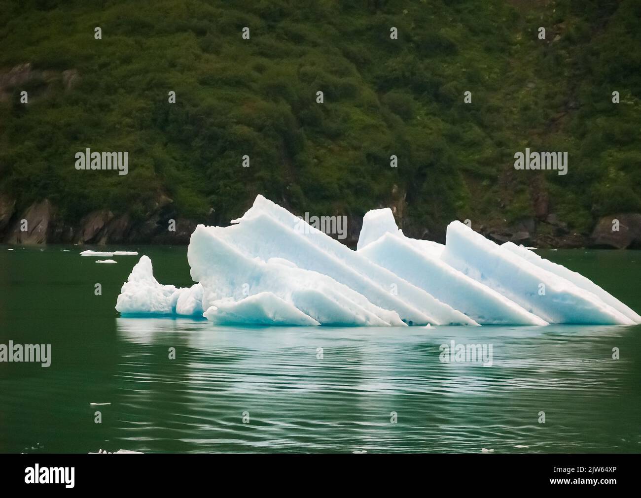 Sea ice and and disappearing glacier of Tracey Arm Alaska Stock Photo ...