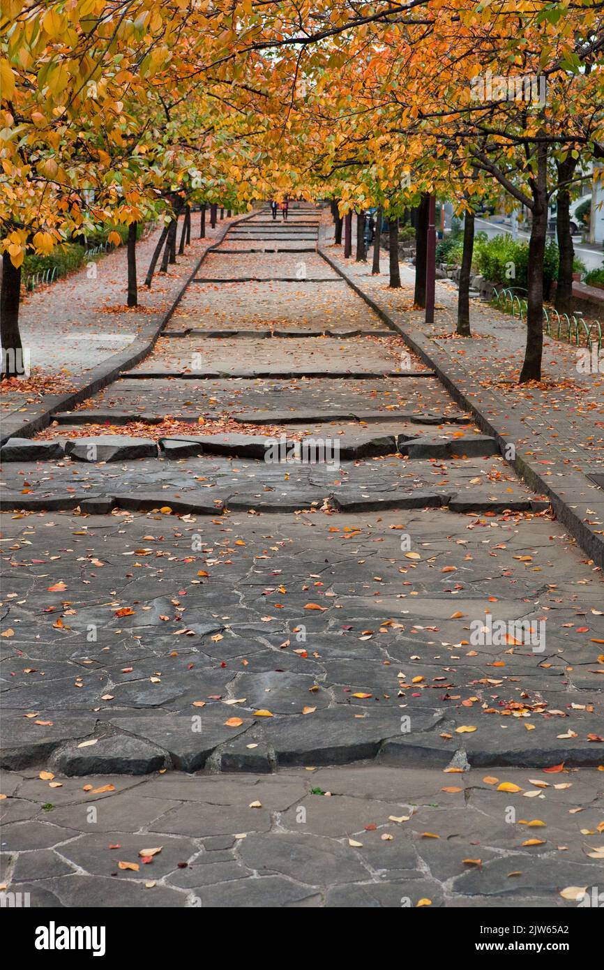 Park walkway Asakusa Tokyo Japan Stock Photo - Alamy