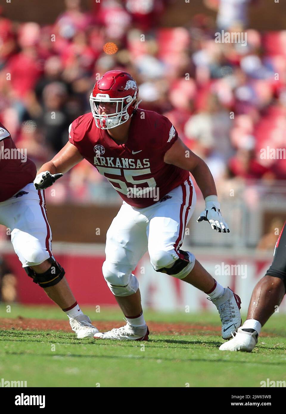 Beaux limmer arkansas hi-res stock photography and images - Alamy