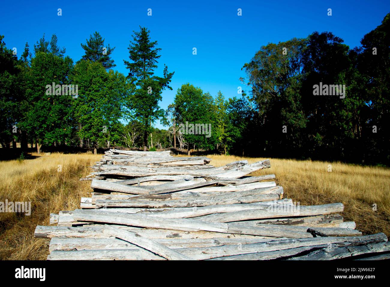 Old Logs for Industrial Use Stock Photo - Alamy
