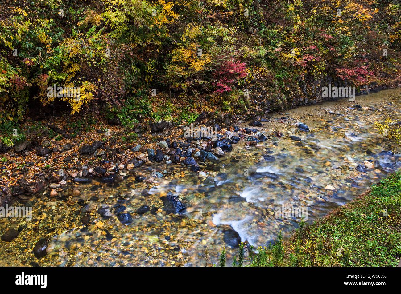 River in autumn on a rainy day, near Minakami, Gunma, Japan Stock Photo ...