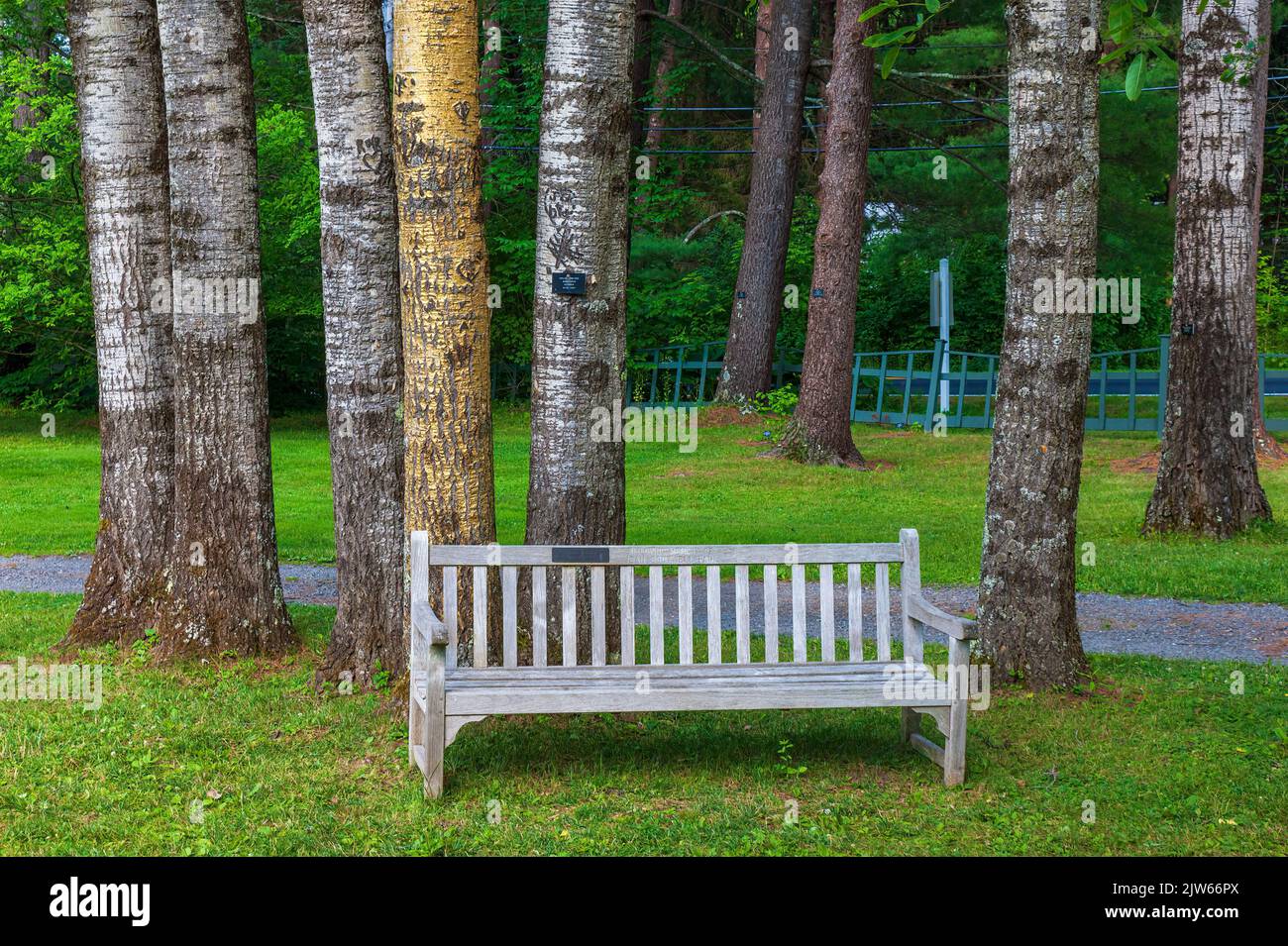 Toni Ross: Found Lines, 2018 - part of “Beautiful Strangers” group ...