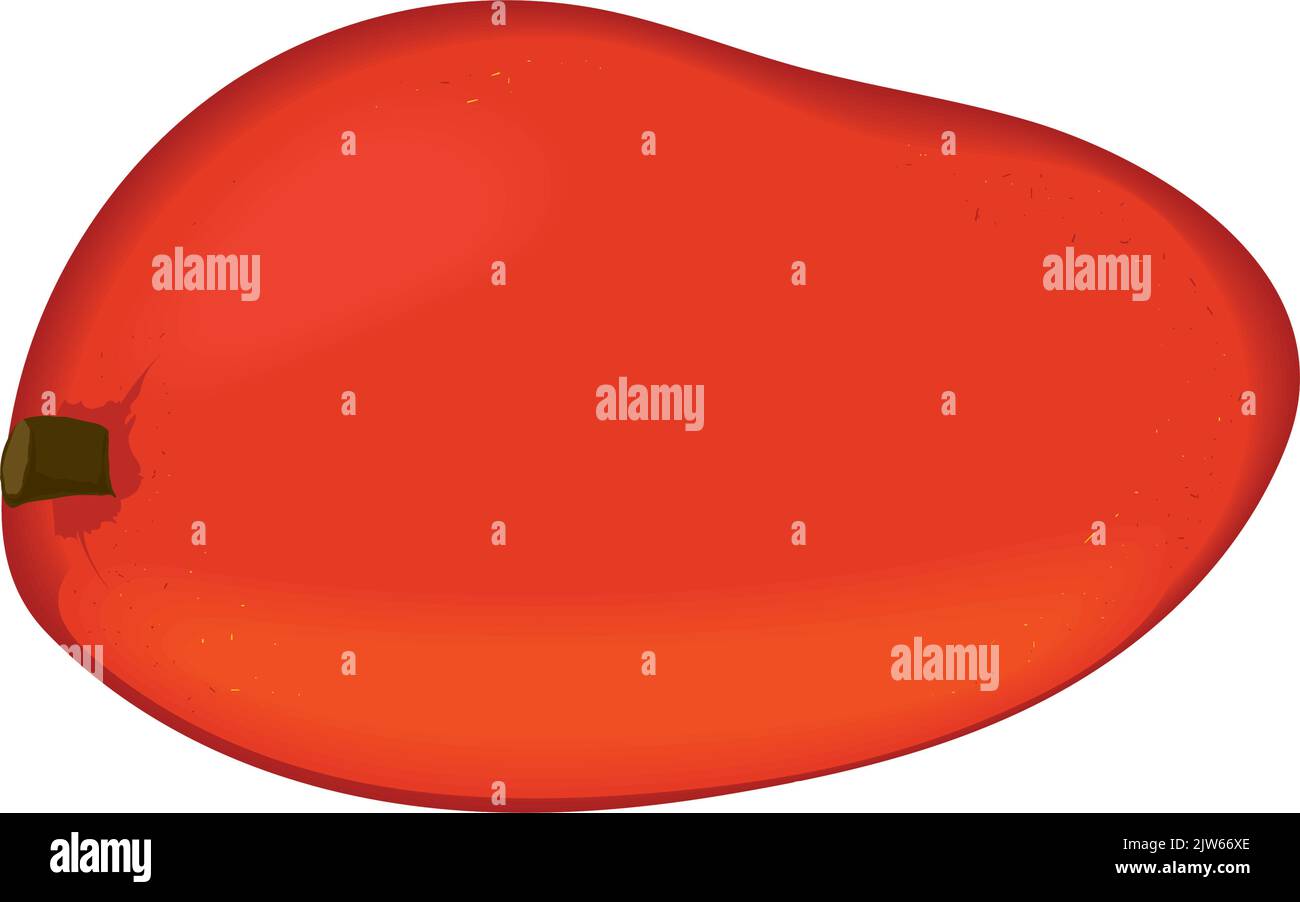 mango fruit realistic Stock Vector Image & Art - Alamy