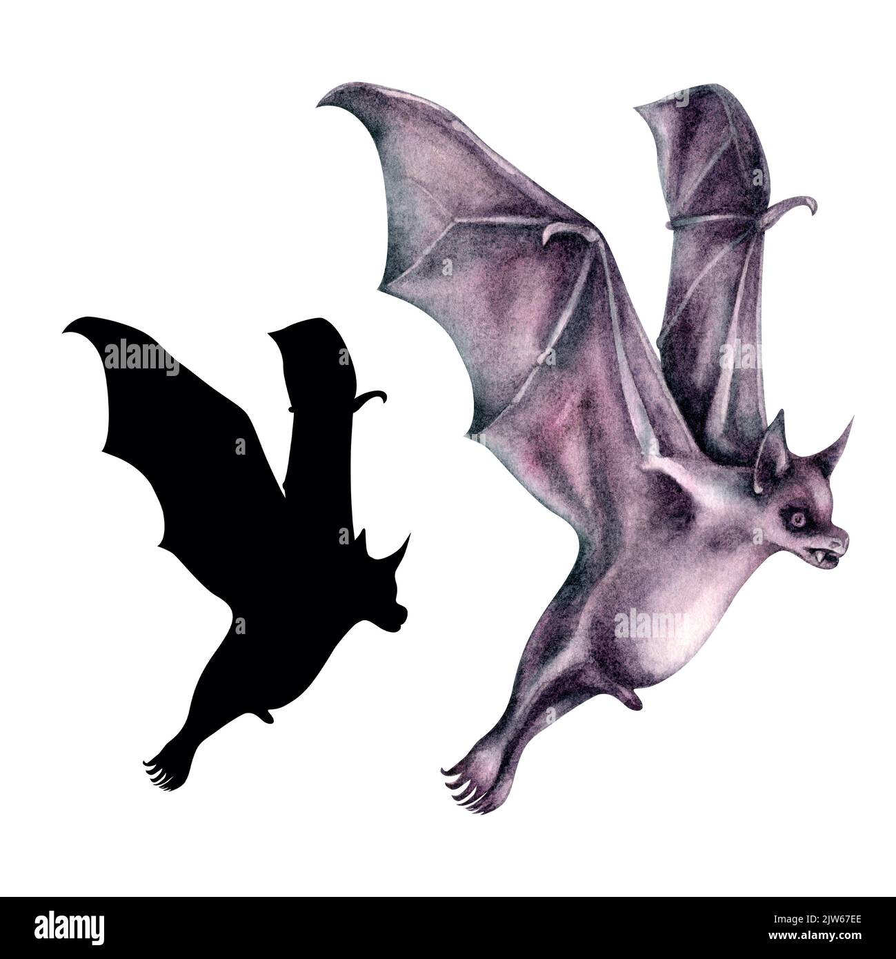 Bat 1 with shadow from family of Halloween bats. Hand-painted in ...