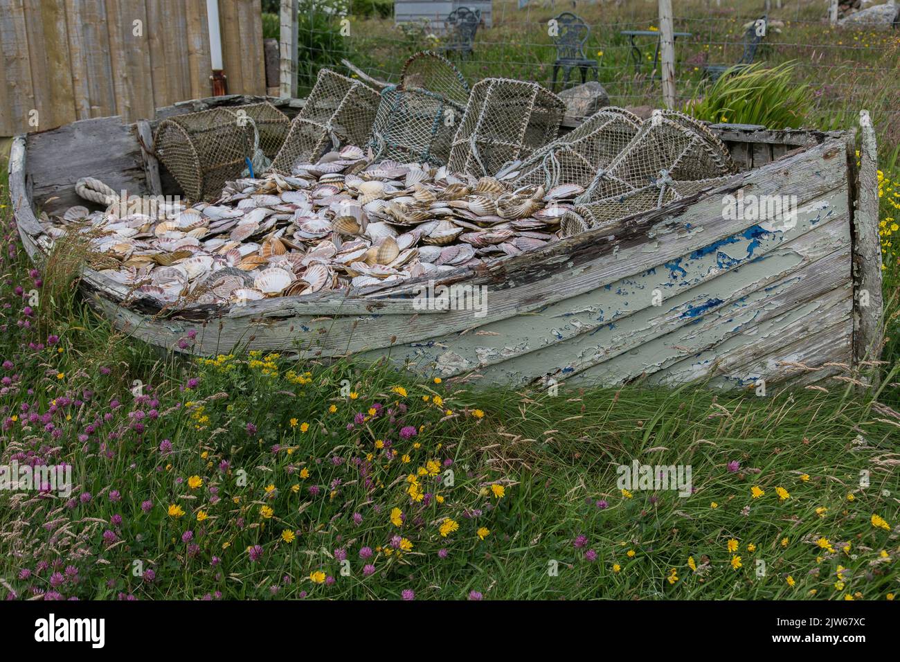 Old boat, filled with lobster pots and seashells, Uig, Lewis, Isle of ...