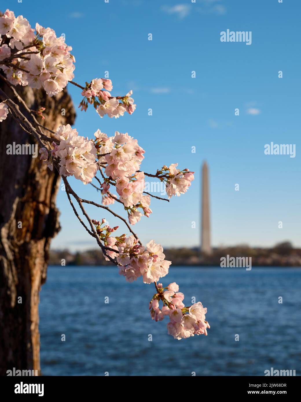 Dc water plant hi-res stock photography and images - Alamy