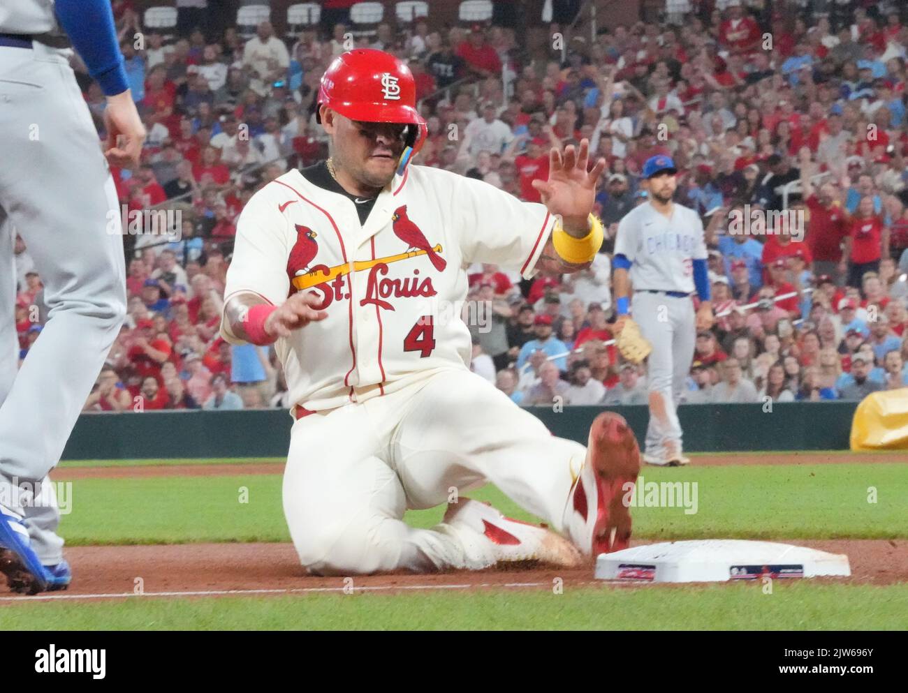 St. Louis, United States. 03rd June, 2022. St. Louis Cardinals Yadier ...