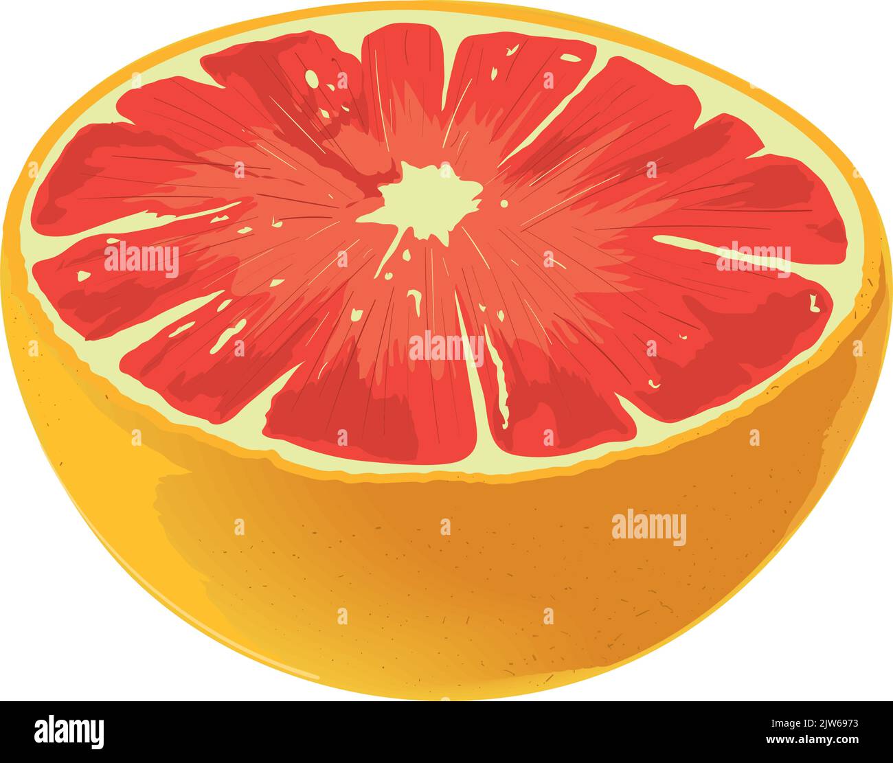 Tangelo fruit Stock Vector Images - Alamy