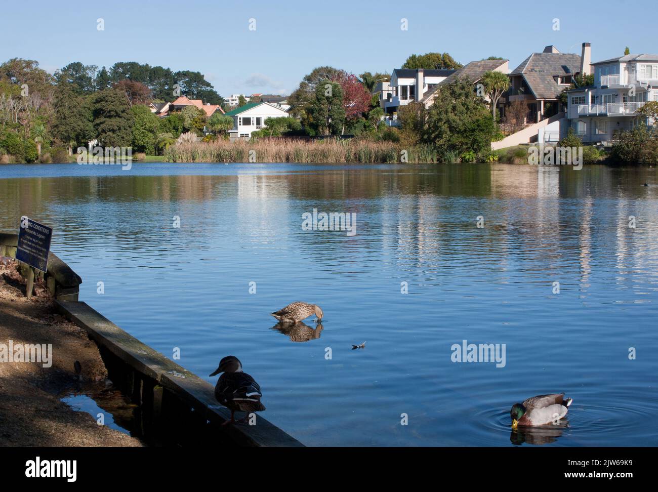 Hokowhitu Lagoon, Palmerston North, New Zealand Stock Photo - Alamy