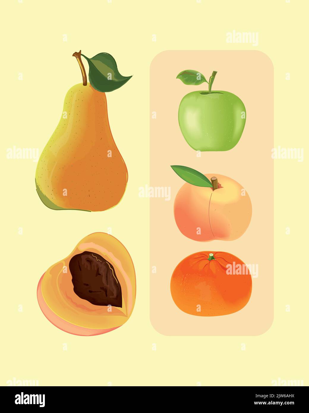 fruits realistic, icon collection Stock Vector Image & Art - Alamy