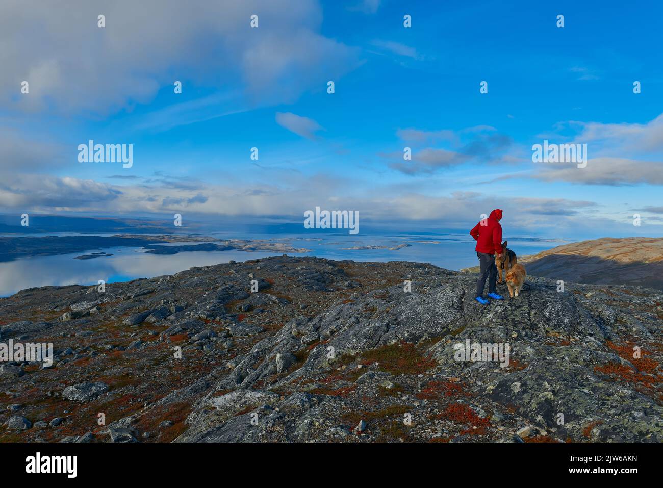 A man standing with 2 dogs and a blue sky and lake background Stock ...