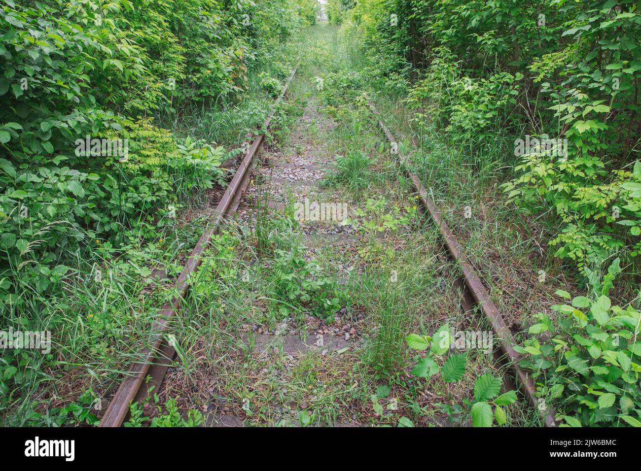 abandoned railway overgrown with grass Stock Photo - Alamy