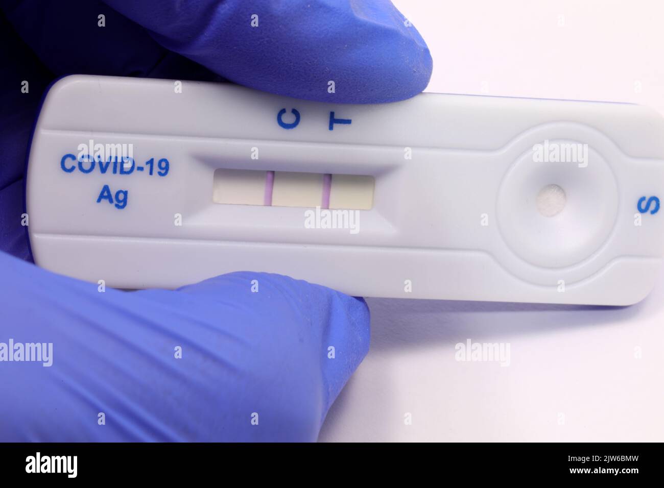 Hand with latex glove and antigenic swab with the positive test for ...