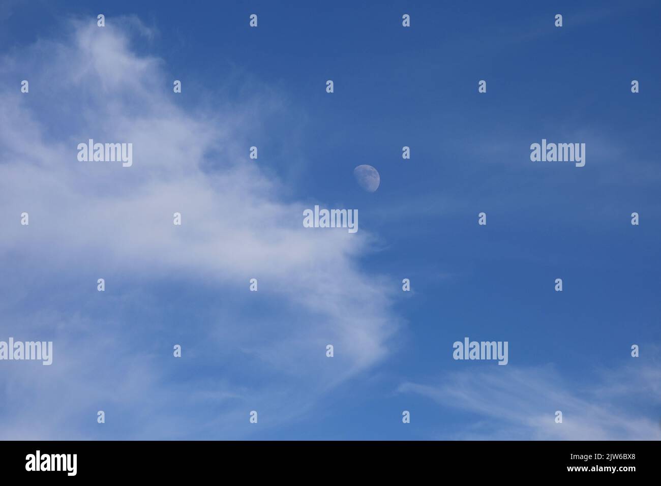 white moon just risen and barely visible during the day in the blue sky ...