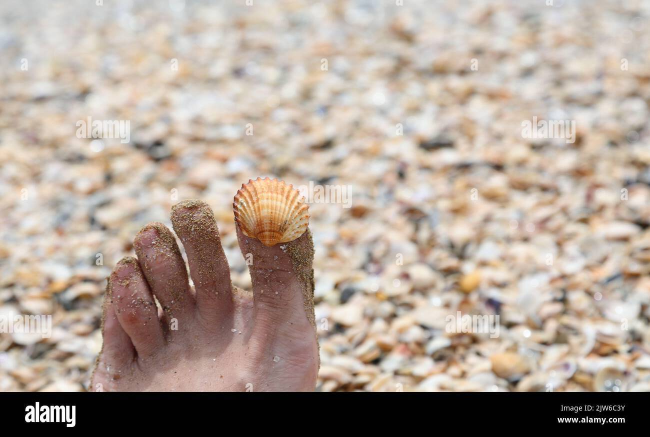 big toe of the foot with a shell on top and the background of thousands ...