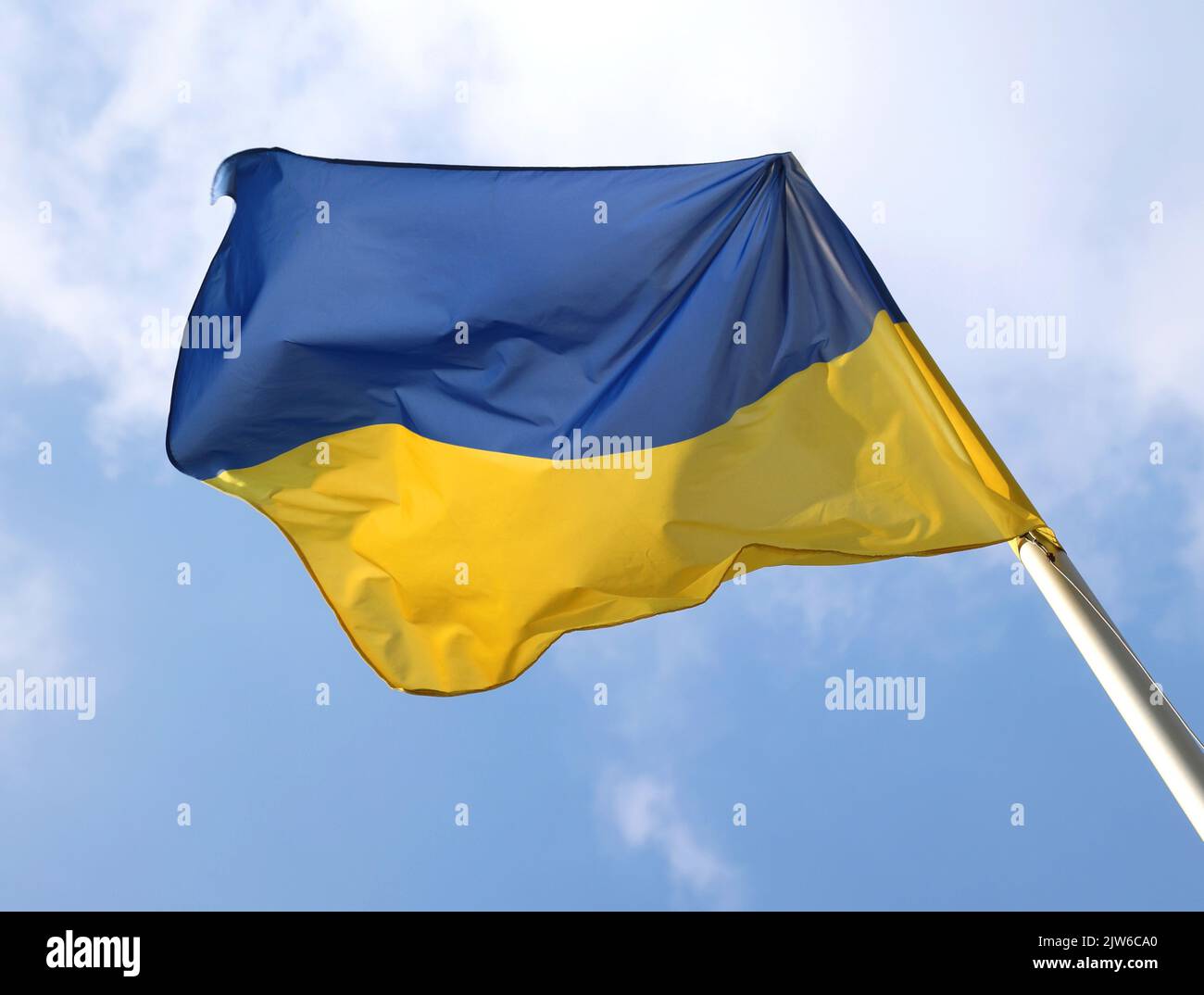 big flag of ukraine with blue and yellow colors waving and sky ...