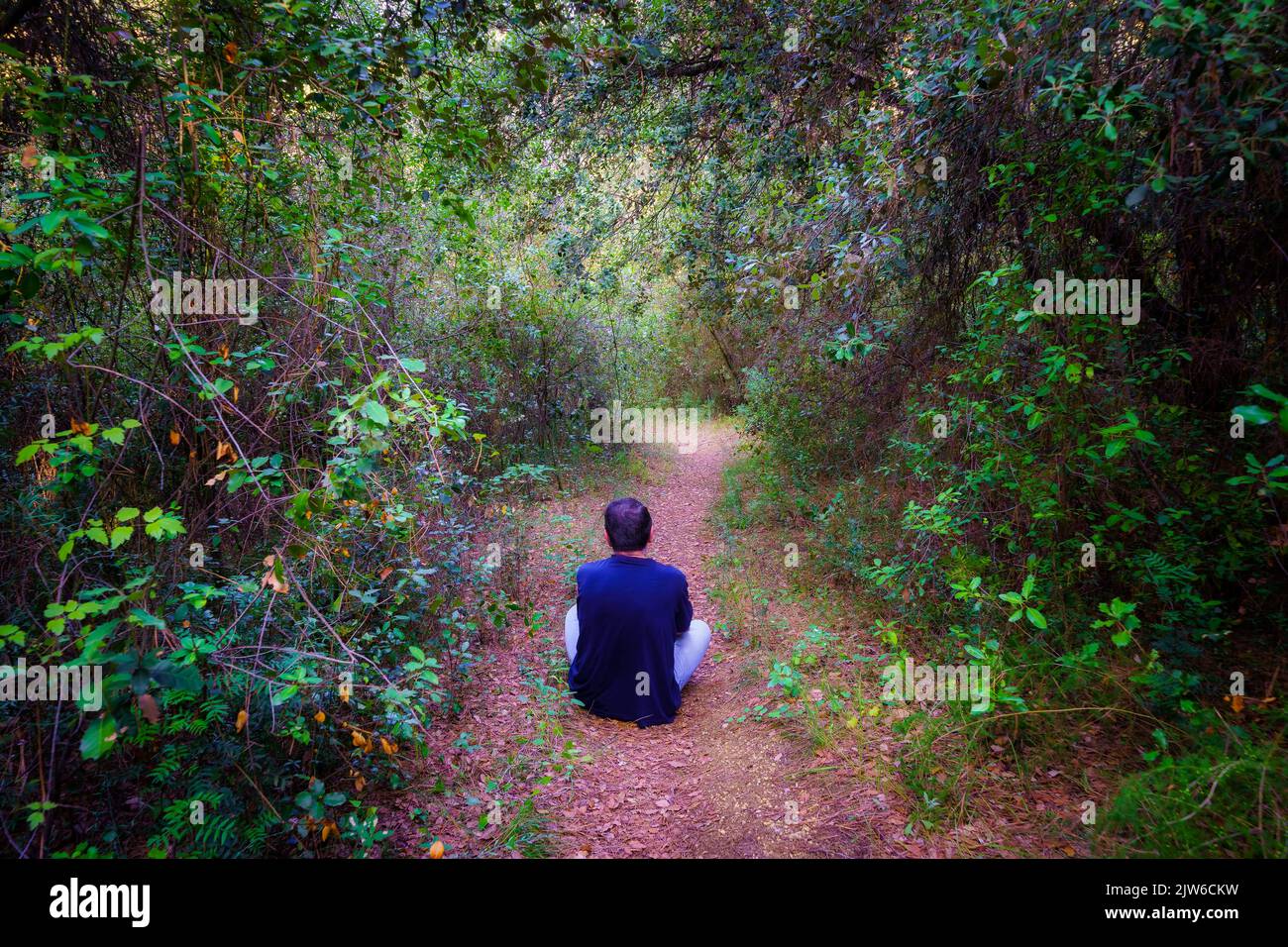 Man sitting on the ground in an enchanted forest with lush vegetation ...