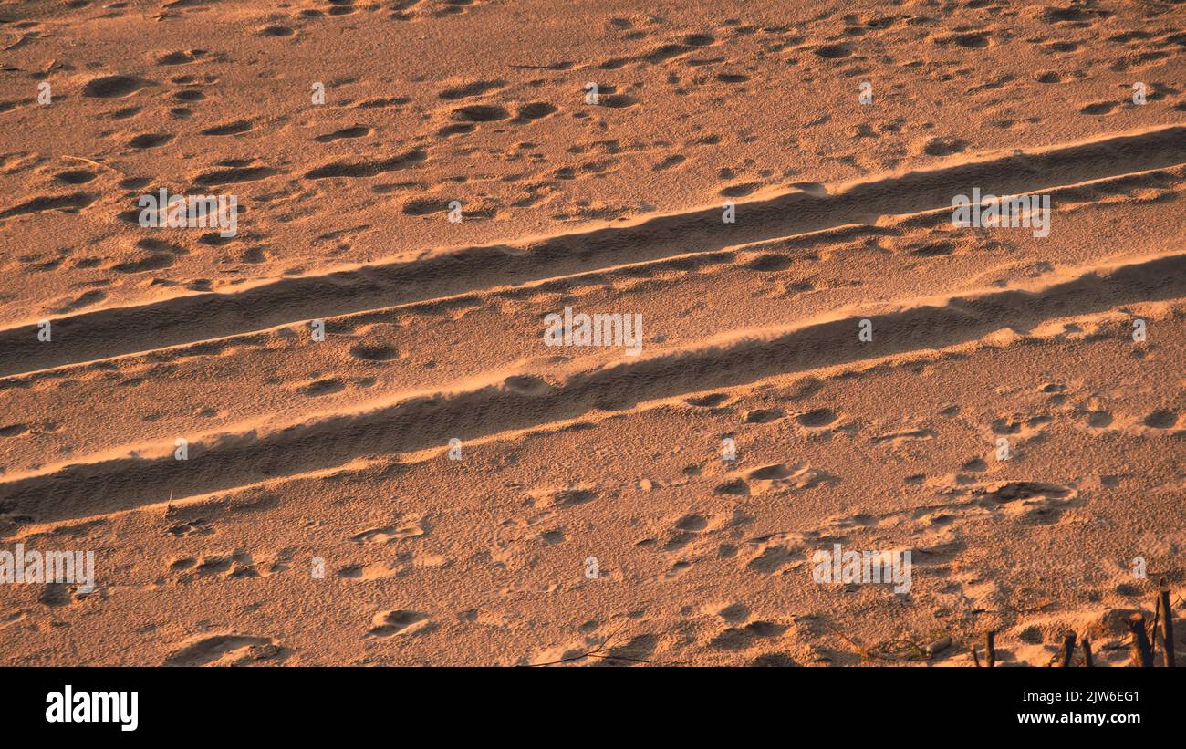 Beautiful quad tracks on the sand during the sunset Stock Photo - Alamy