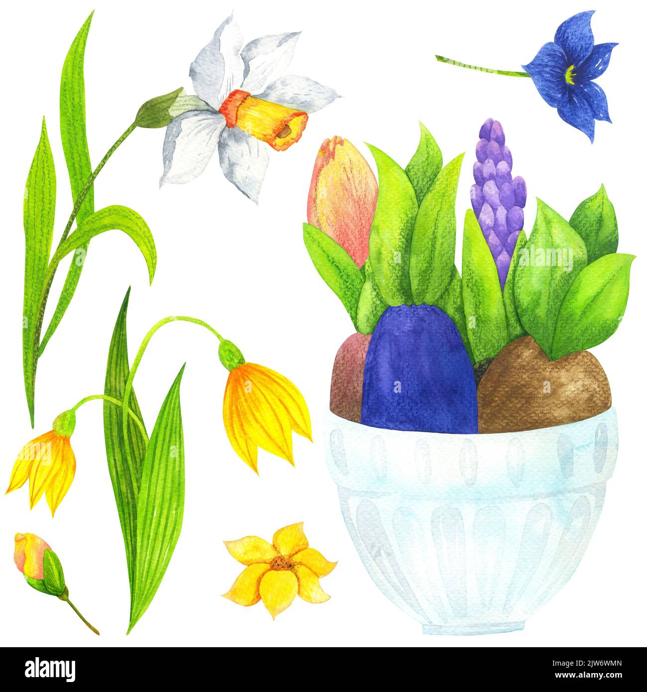 Bright spring first flowers and seedlings set of illustrations ...