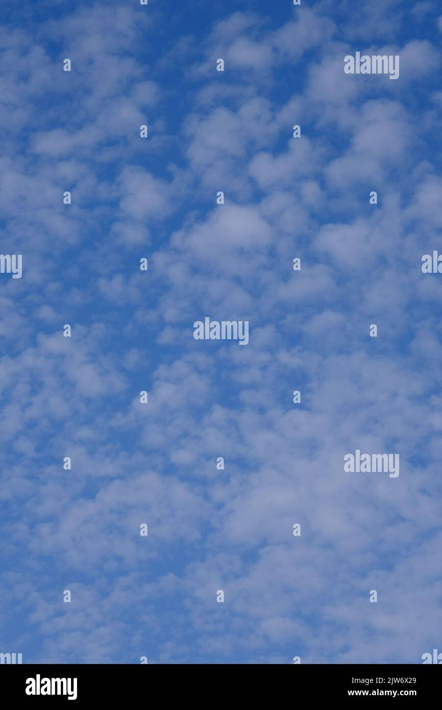 Background of blue sky with many small clouds Stock Photo - Alamy