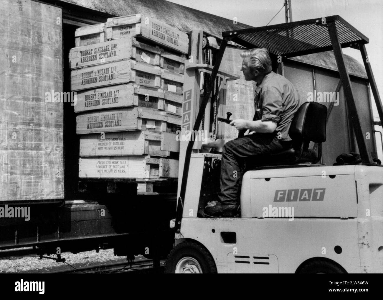 Image of loading a sliding wall wagon using a forklift truck Stock ...