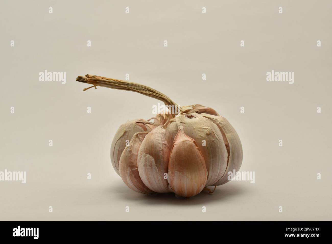 Close up photo of garlic bulbs isolated on white background Stock Photo ...