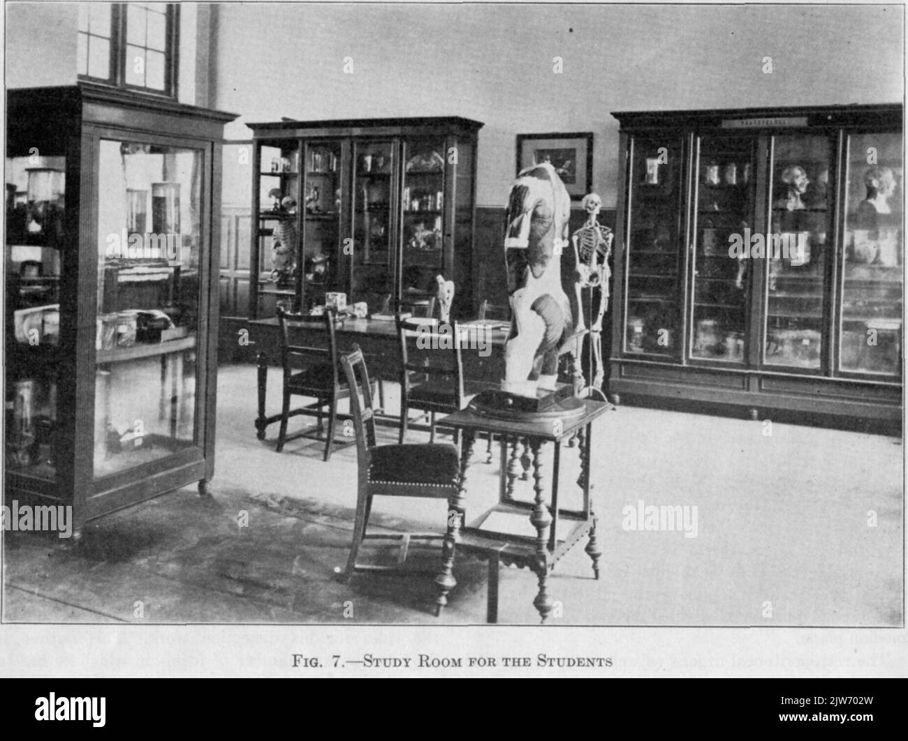 Interior of the Anatomic Institute (former Statenkamer, Janskerkhof 3 ...