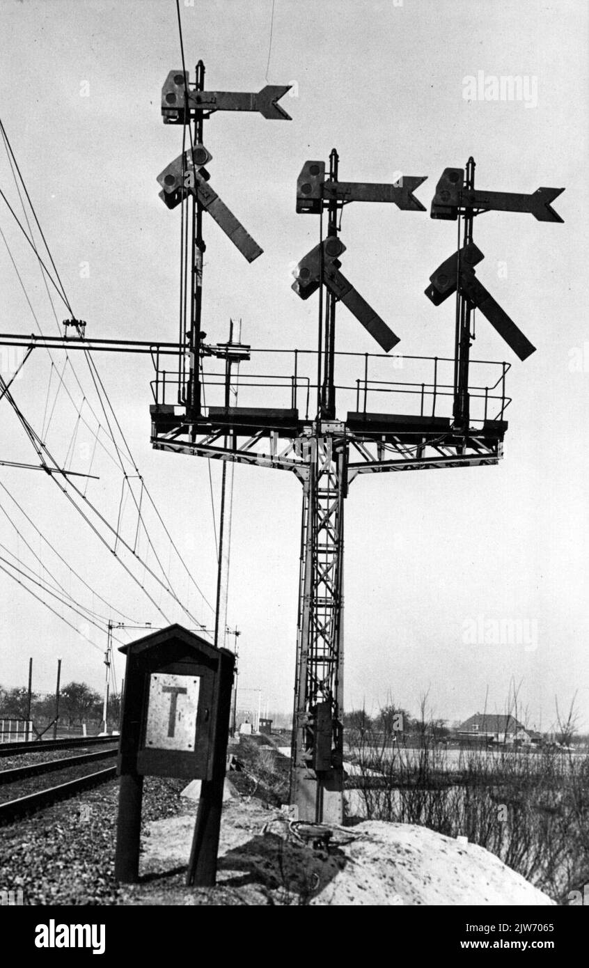 Image of a triple branch head with forecasts of the N.S. in Lunetten ...