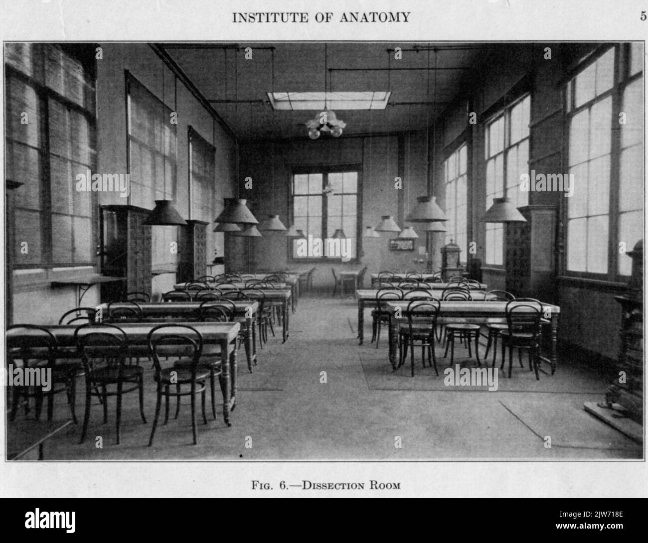 Interior of the Anatomic Institute (former Statenkamer, Janskerkhof 3 ...