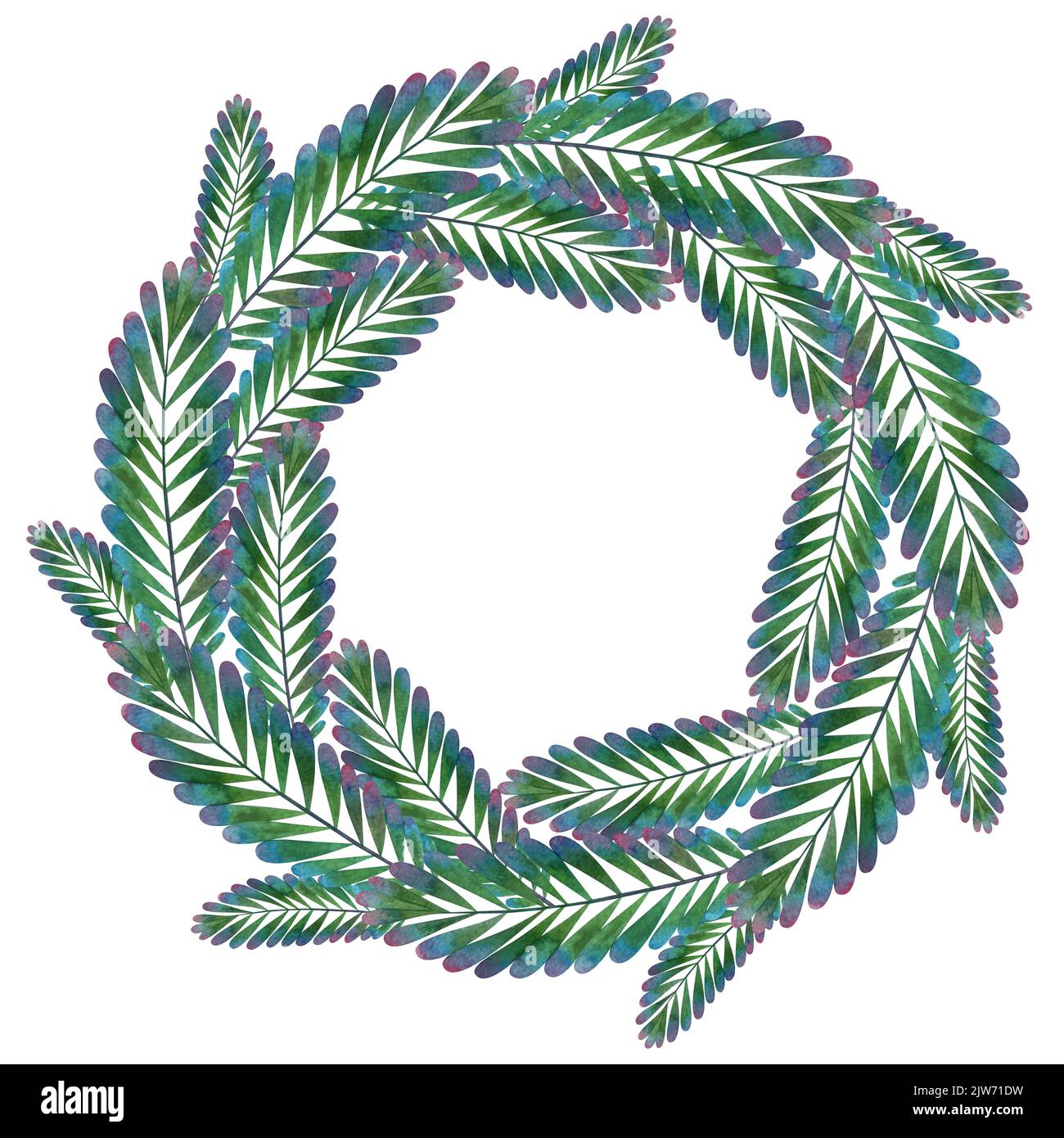 New Year's wreath of thin red-blue-green fluffy branches. Watercolor ...