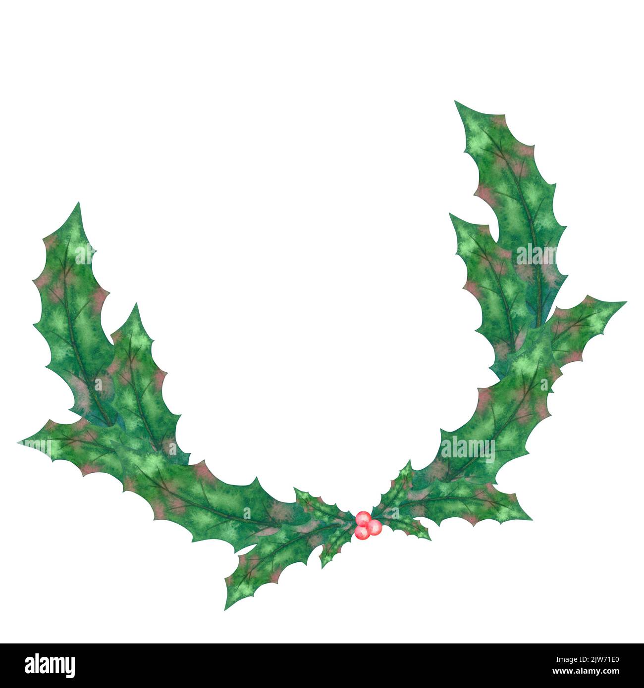Traditional Christmas holly wreath. Green holly branches and red ...