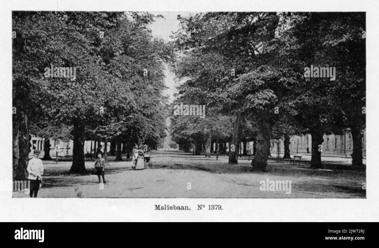 View in the Maliebaan in Utrecht Stock Photo - Alamy