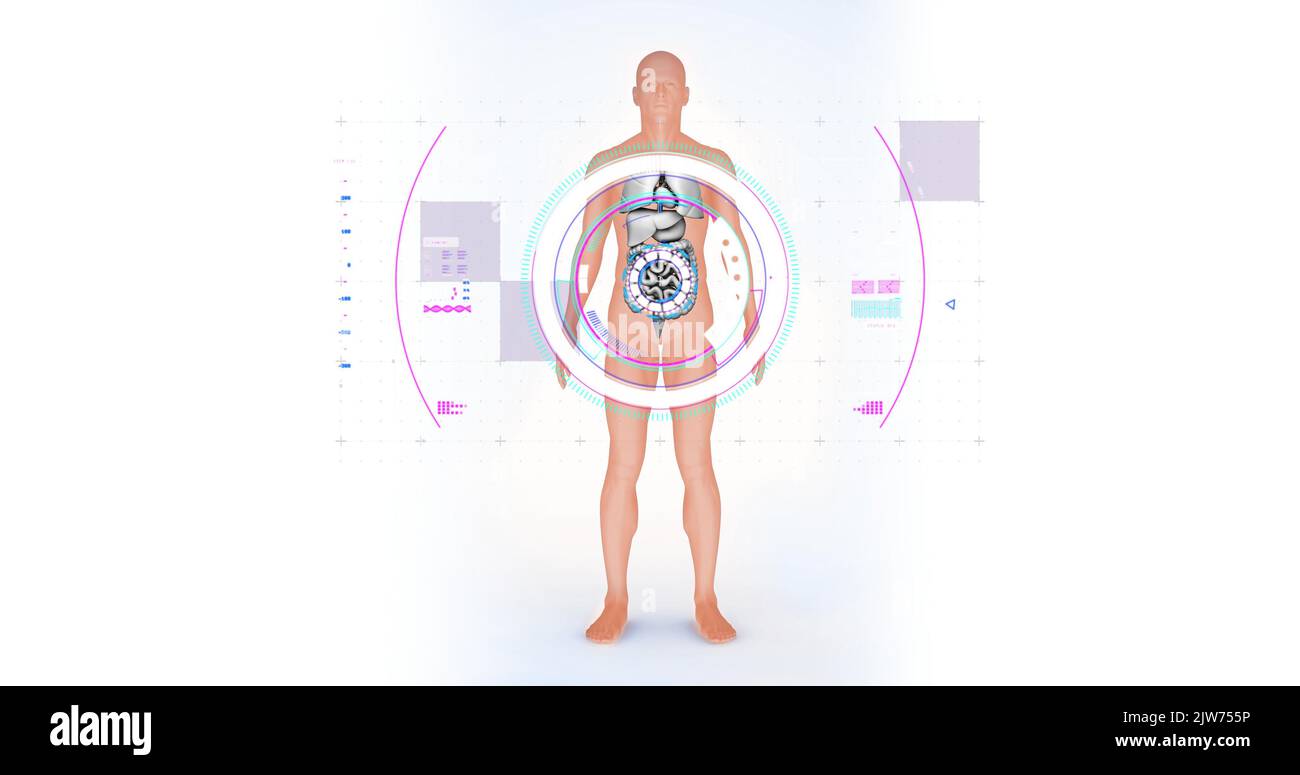 Image of digital interface over human body model. global science ...