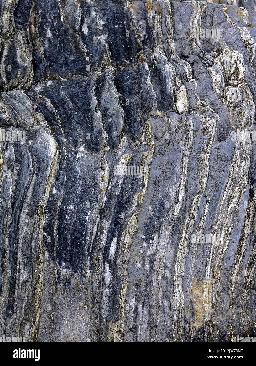 Stunning patterns formed in the rocks around Cornwallis coastline ...