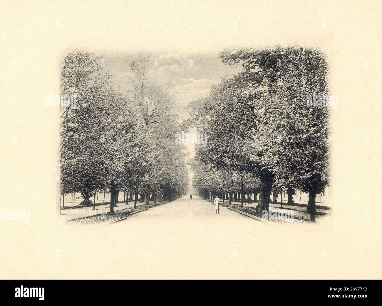 Maliebaan utrecht hi-res stock photography and images - Alamy