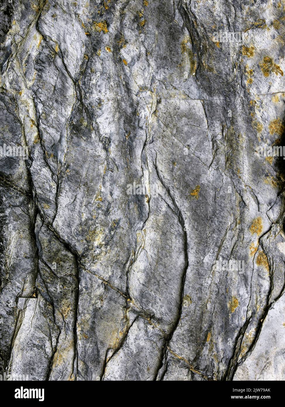 Stunning patterns formed in the rocks around Cornwallis coastline ...