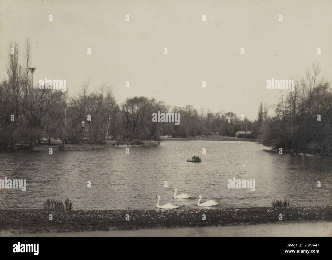 View of the pond in the Wilhelminapark in Utrecht Stock Photo - Alamy