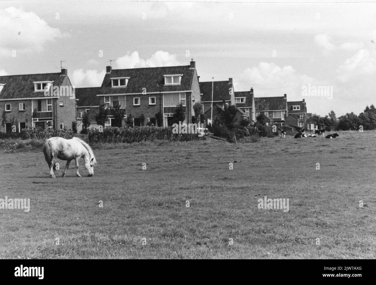 View of a few houses in the Doude area of Troostwijkstraat ...