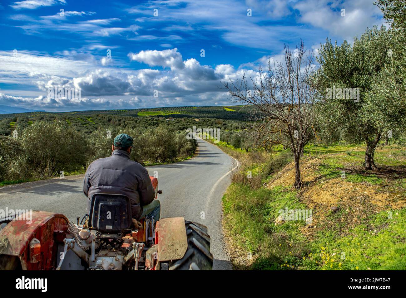 Olive season in Crete Stock Photo - Alamy