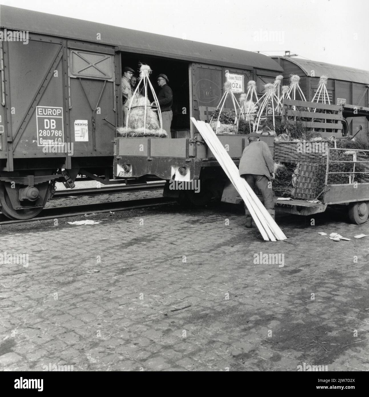 Image of the loading of freight wagons with plants and shrubs on the ...