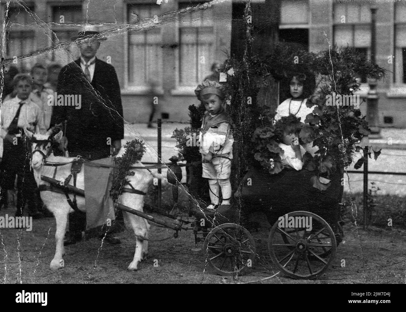 Image of a few children of the Trapman family in a goat cart in the ...