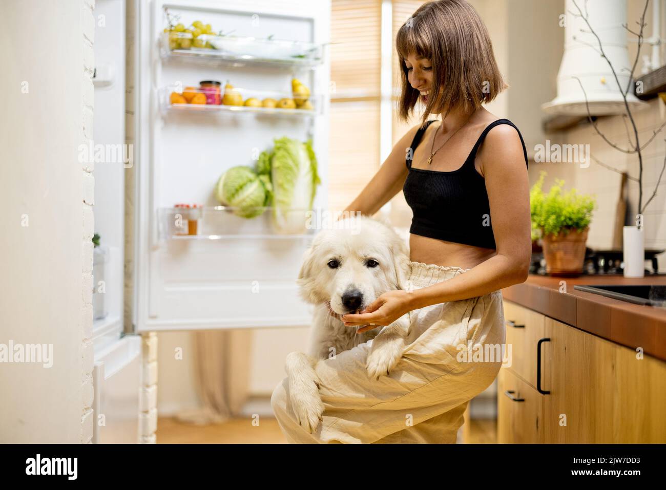Woman with dog opens fridge filled with healthy food ingredients Stock ...